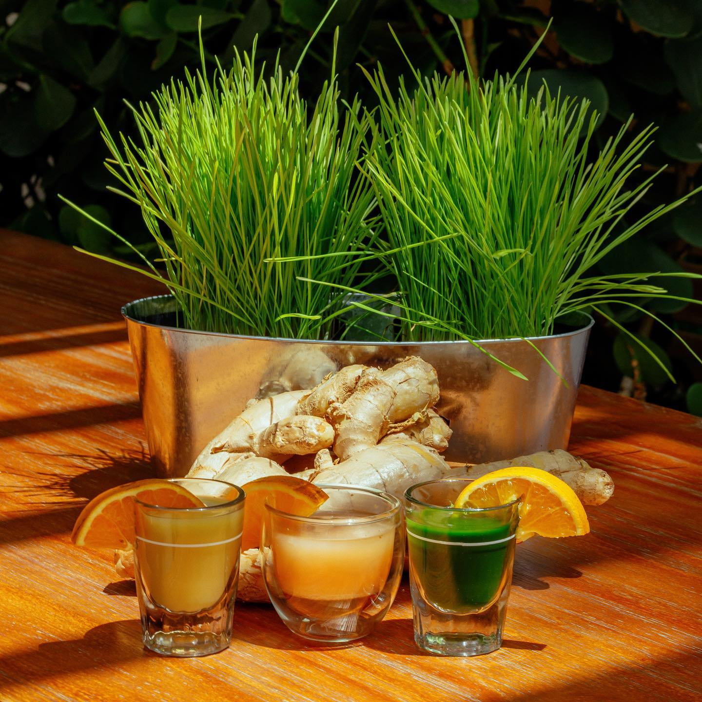 Miami Squeeze Florida North Miami Beach Delivery and Pickup menu